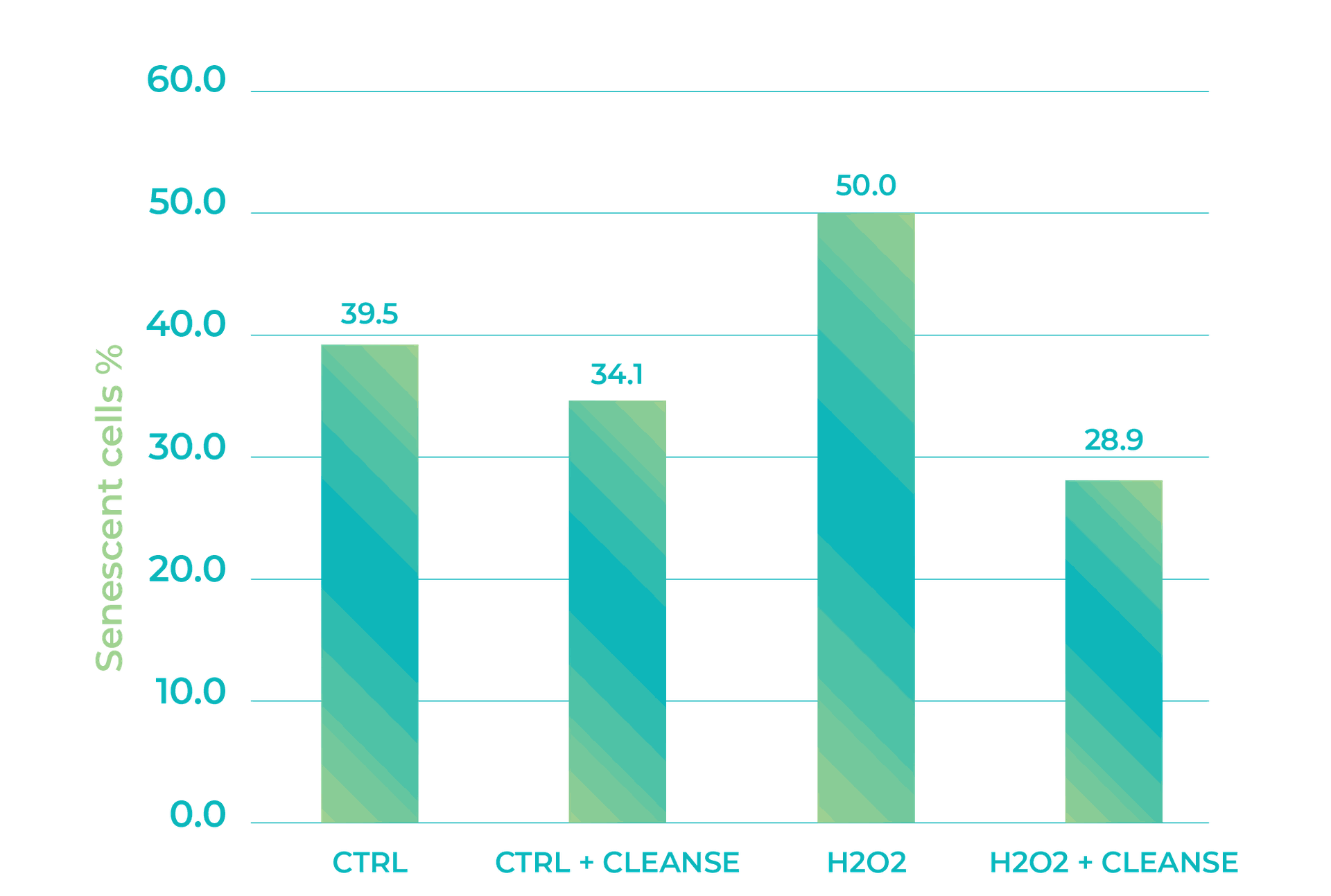 Discover Our Senolytic Cellular Program - Anti-Aging Supplements